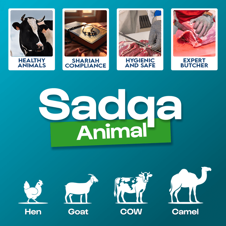 Donate | Saylani Welfare International Trust | Saylani Welfare